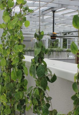 EXPLORE EVENT SPACE | The One Brunei