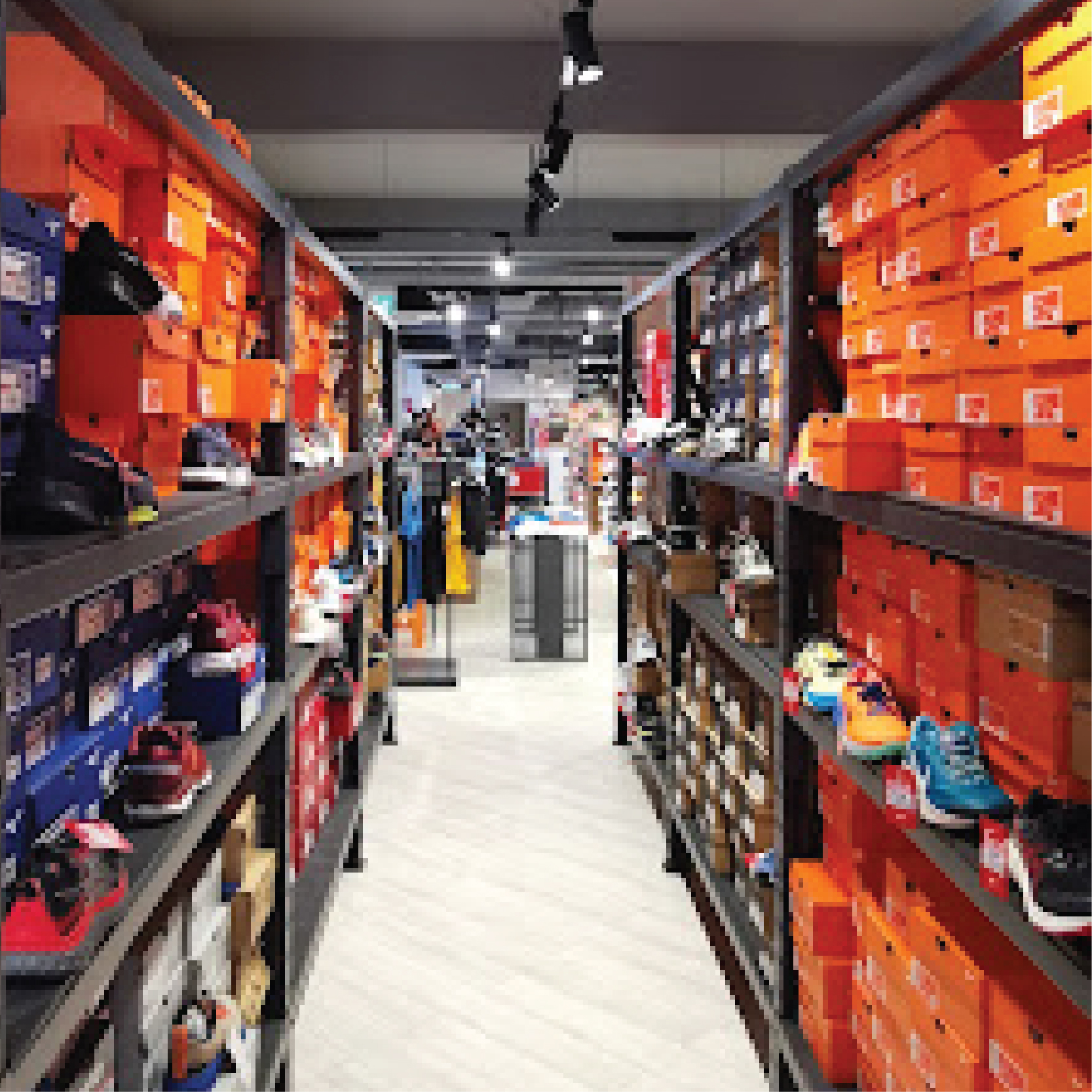 Dynamic Sports | Shops The One